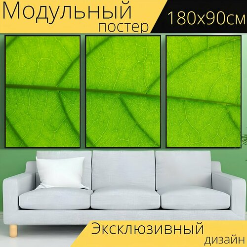 Модульный постер "Лезвие, зеленый, текстура" 180 x 90 см. для интерьера