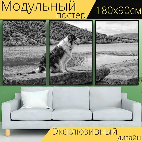 Модульный постер "Собака, пейзаж, гора" 180 x 90 см. для интерьера
