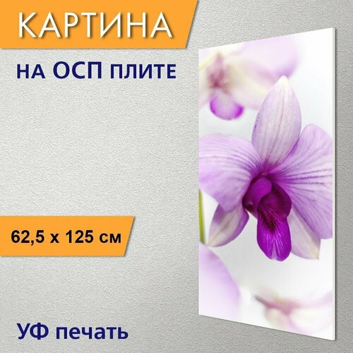 Вертикальная картина на ОСП "Орхидея, желтый, фиолетовый" 62x125 см. для интерьериа