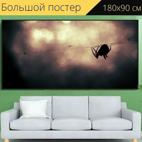 Большой постер "Паук, животное, насекомое" 180 x 90 см. для интерьера