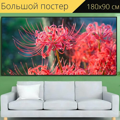 Большой постер "Сад, цветы, красный паук лилии" 180 x 90 см. для интерьера