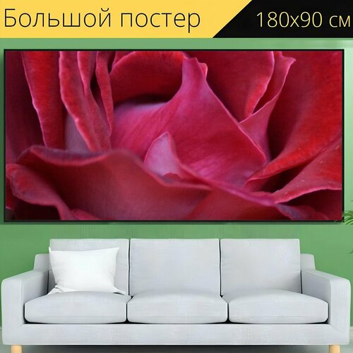 Большой постер "Красный, роза, цветок" 180 x 90 см. для интерьера