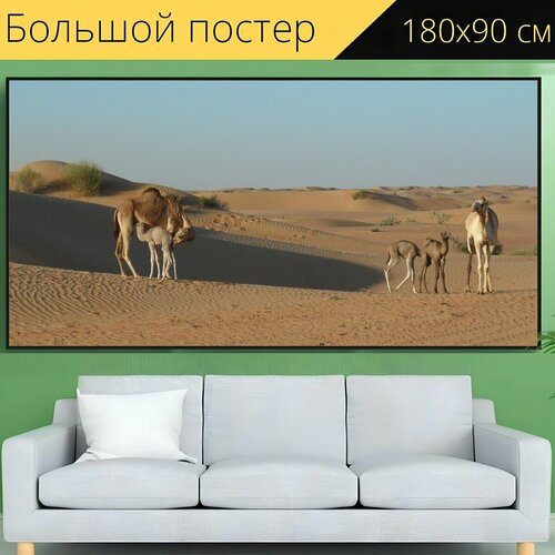 Большой постер "Пустыня, верблюд, песок" 180 x 90 см. для интерьера