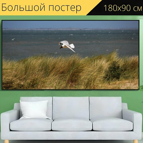Большой постер "Море, чайка, птица" 180 x 90 см. для интерьера