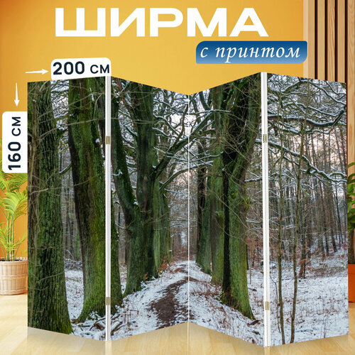 Ширма перегородка с принтом "Зима, лес, дорожка" на холсте - 200x160 см. для зонирования, раскладная