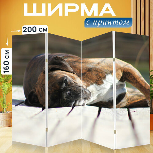 Ширма перегородка с принтом "Боксер, спать, собака" на холсте - 200x160 см. для зонирования, раскладная