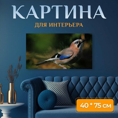 Картина на холсте "Джей, птица, певчая птица" на подрамнике 75х40 см. для интерьера