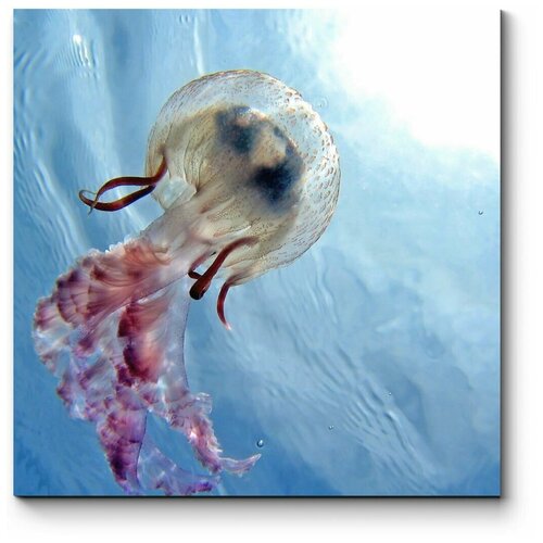 Модульная картина Прекрасная медуза 80x80