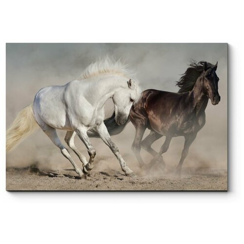 Модульная картина Красивая пара лошадей 40x27