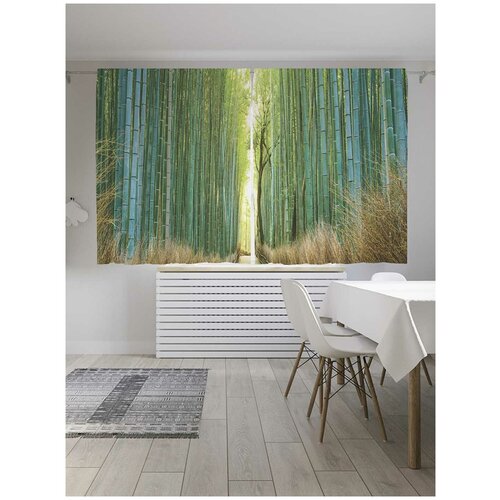 Классические шторы JoyArty "Дорога через лес", серия Oxford DeLux, 2 полотна 145x180 см