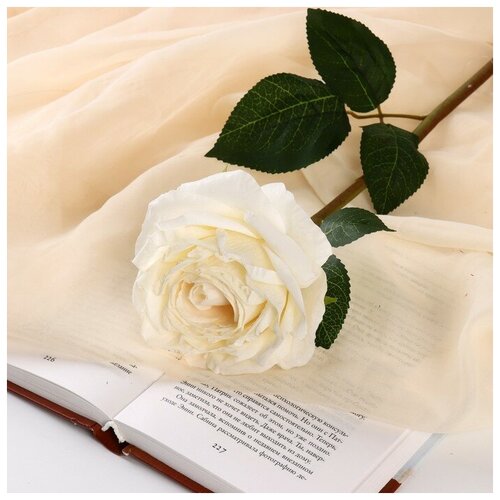 Цветы искусственные Роза эстетик 10х49 см, белый