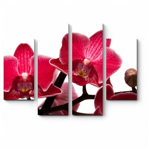 Модульная картина Магия орхидей 100x75