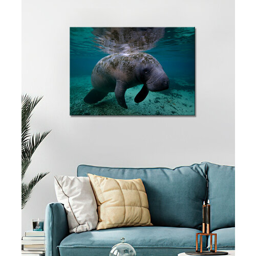 Картина -Ламантин, морская корова, ламантин в воде (1) 30х40