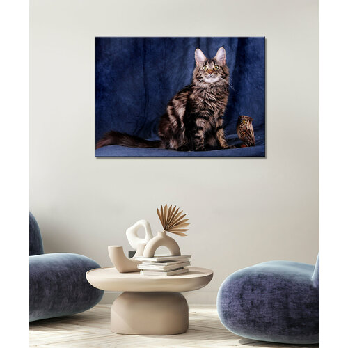 Картина - кошка, мейн-кун, домашняя кошка, ласковая кошка, кот (275) 20х30