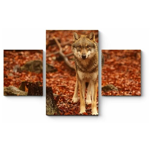 Модульная картина Волк в осеннем лесу 110x72