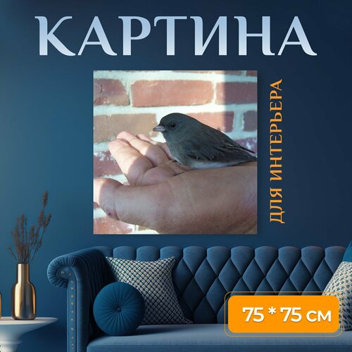 Картина на холсте "Птица, зяблик, рука" на подрамнике 75х75 см. для интерьера