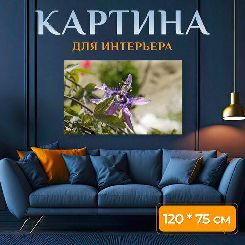 Картина на холсте "Цветок страсти, цвести, цветок" на подрамнике 120х75 см. для интерьера