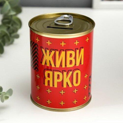 Копилка-банка металл "Живи ярко"