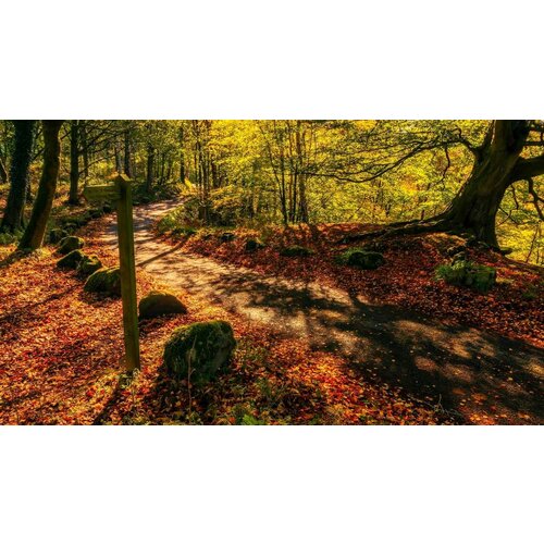 Картина на холсте 60x110 LinxOne "Дорога осень лес England" интерьерная для дома / на стену / на кухню / с подрамником