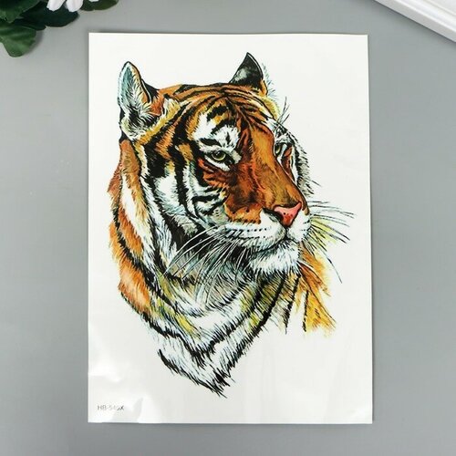 MARU Татуировка на тело цветная "Амурский тигр" 21х15 см