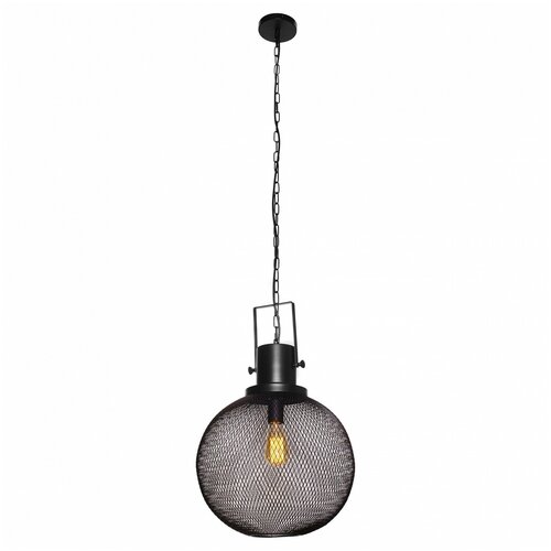 Потолочный светильник Lucia Tucci Industrial 1829.1, E27, 60 Вт, кол-во ламп: 1 шт., цвет: черный