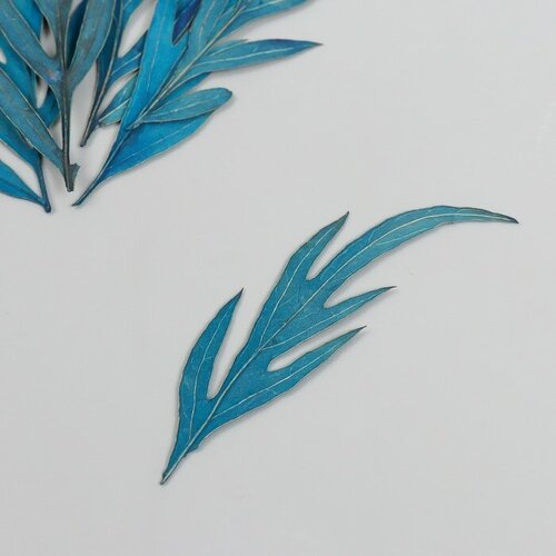 Арт Узор Сухоцвет "Лист полыни горькой" синий h=5-8 см