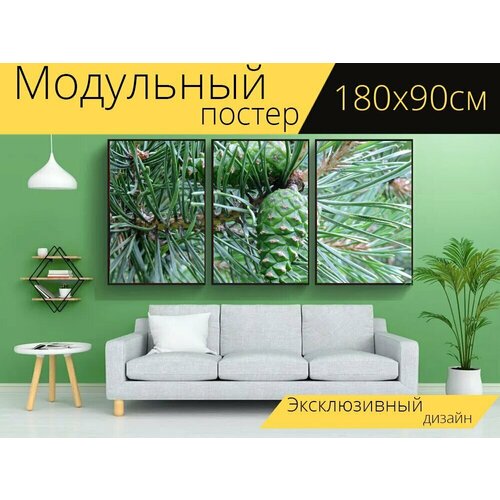 Модульный постер "Зеленые сосновые шишки, сосновая хвоя, зеленый" 180 x 90 см. для интерьера