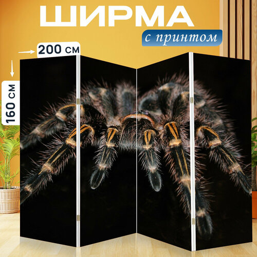 Ширма перегородка с принтом "Тарантул, паук, насекомое" на холсте - 200x160 см. для зонирования, раскладная