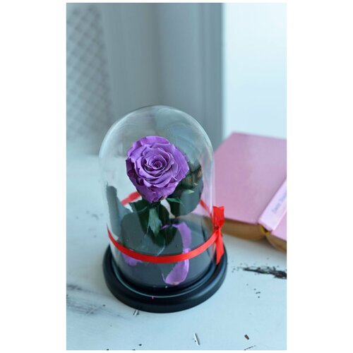 Стабилизированная роза в колбе Therosedome Mini 6 см, сиреневая