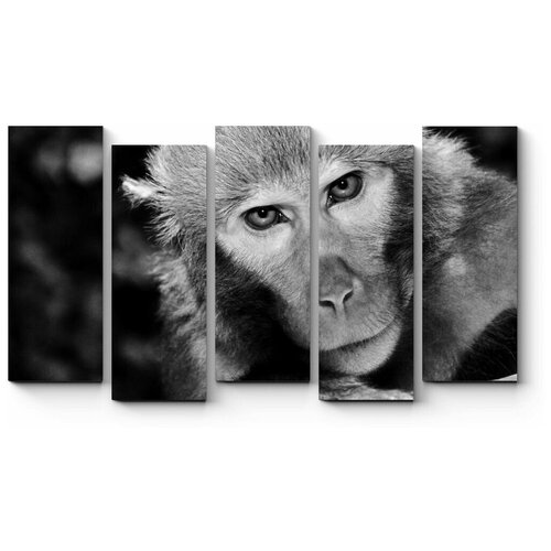 Модульная картина Портрет харизматичной обезьянки210x121