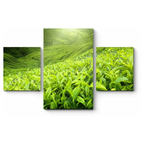 Модульная картина Бескрайняя зелень полей 110x72