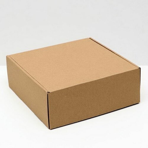 Коробка самосборная, крафт, 25 x 25 x 9.5 см, 5 шт.
