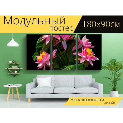 Модульный постер "Лотос, цветы лотоса, цветок лотоса" 180 x 90 см. для интерьера