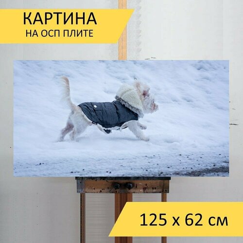 Картина на ОСП 125х62 см. "Мальтийский, собака, молодая собака" горизонтальная, для интерьера, с креплениями