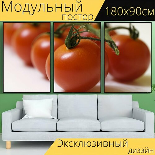 Модульный постер "Помидоры, овощи, красный" 180 x 90 см. для интерьера