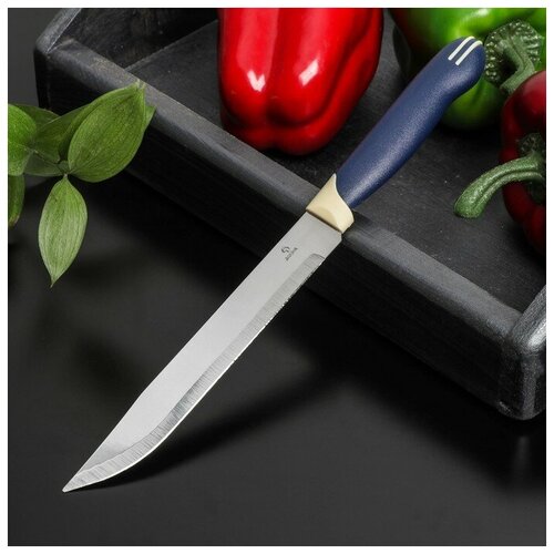 Нож Доляна «Страйп» универсальный лезвие 15 см цвет синий
