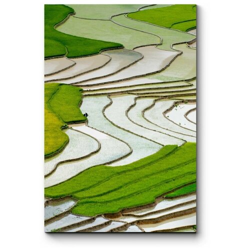 Модульная картина Рисовое поле в Му Чан Чай 60x90