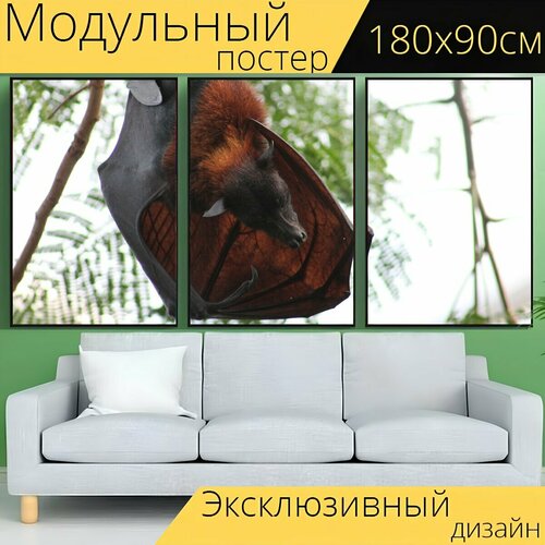 Модульный постер "Летучая мышь, зоопарк, природа" 180 x 90 см. для интерьера