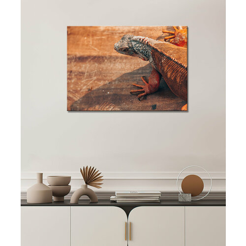 Картина -Игуана, мадагаскарская игуана, коричневая игуана (8) 50х70