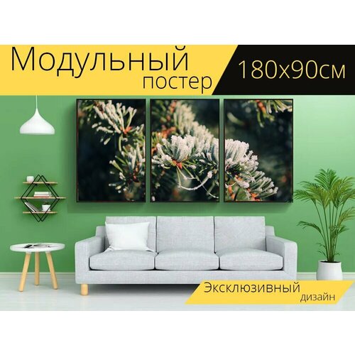Модульный постер "Иглы филиал, хвойное дерево, спелый" 180 x 90 см. для интерьера