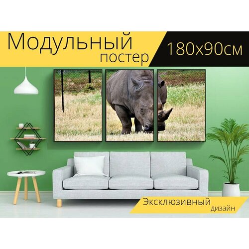 Модульный постер "Носорог, дикий, животное" 180 x 90 см. для интерьера