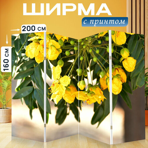 Ширма перегородка с принтом "Цветы, желтый, природа" на холсте - 200x160 см. для зонирования, раскладная