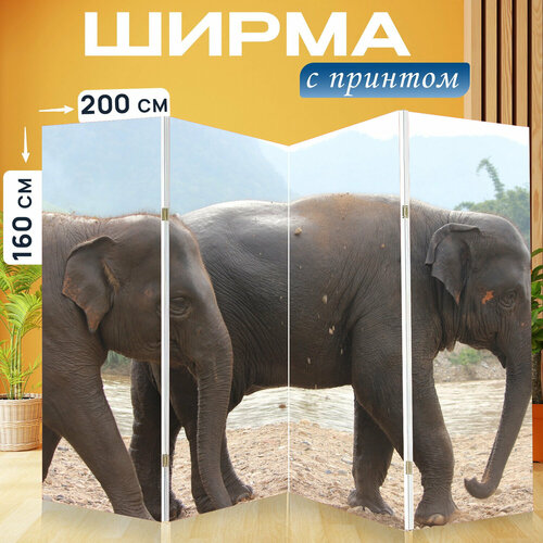 Ширма перегородка с принтом "Слон, млекопитающее, дикая природа" на холсте - 200x160 см. для зонирования, раскладная