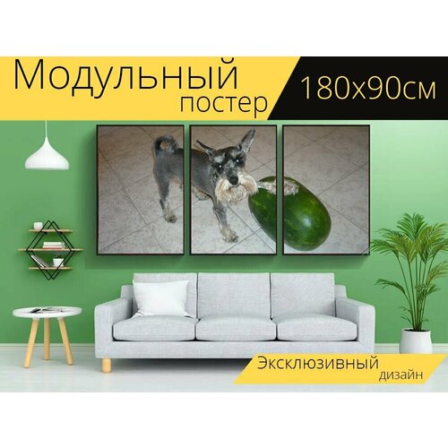 Модульный постер "Собака, дыня, шнауцер" 180 x 90 см. для интерьера