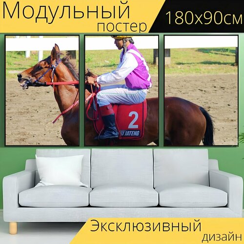 Модульный постер "Лошадь, гонка, индонезия" 180 x 90 см. для интерьера