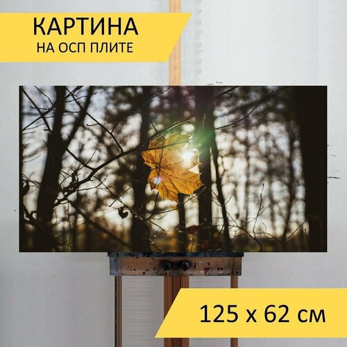 Картина на ОСП 125х62 см. "Лес, лист, солнце" горизонтальная, для интерьера, с креплениями