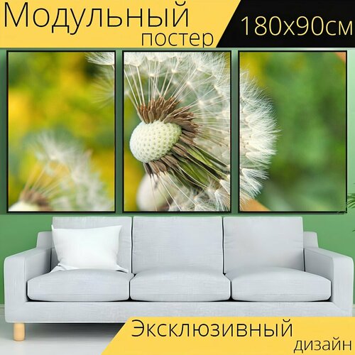 Модульный постер "Одуванчик, весна, природа" 180 x 90 см. для интерьера