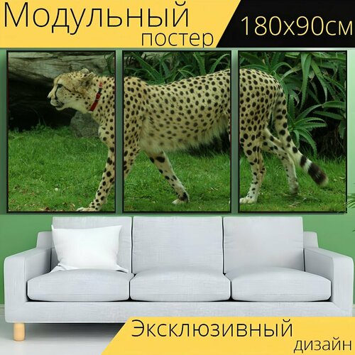 Модульный постер "Гепард, естественный, кошка" 180 x 90 см. для интерьера