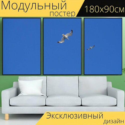 Модульный постер "Чайка, птицы морских птиц, водоплавающая птица" 180 x 90 см. для интерьера