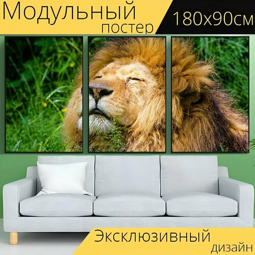 Модульный постер "Лев, грива, король" 180 x 90 см. для интерьера